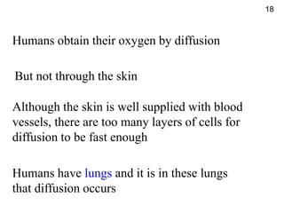 diffusion ppt for concepts | PPT