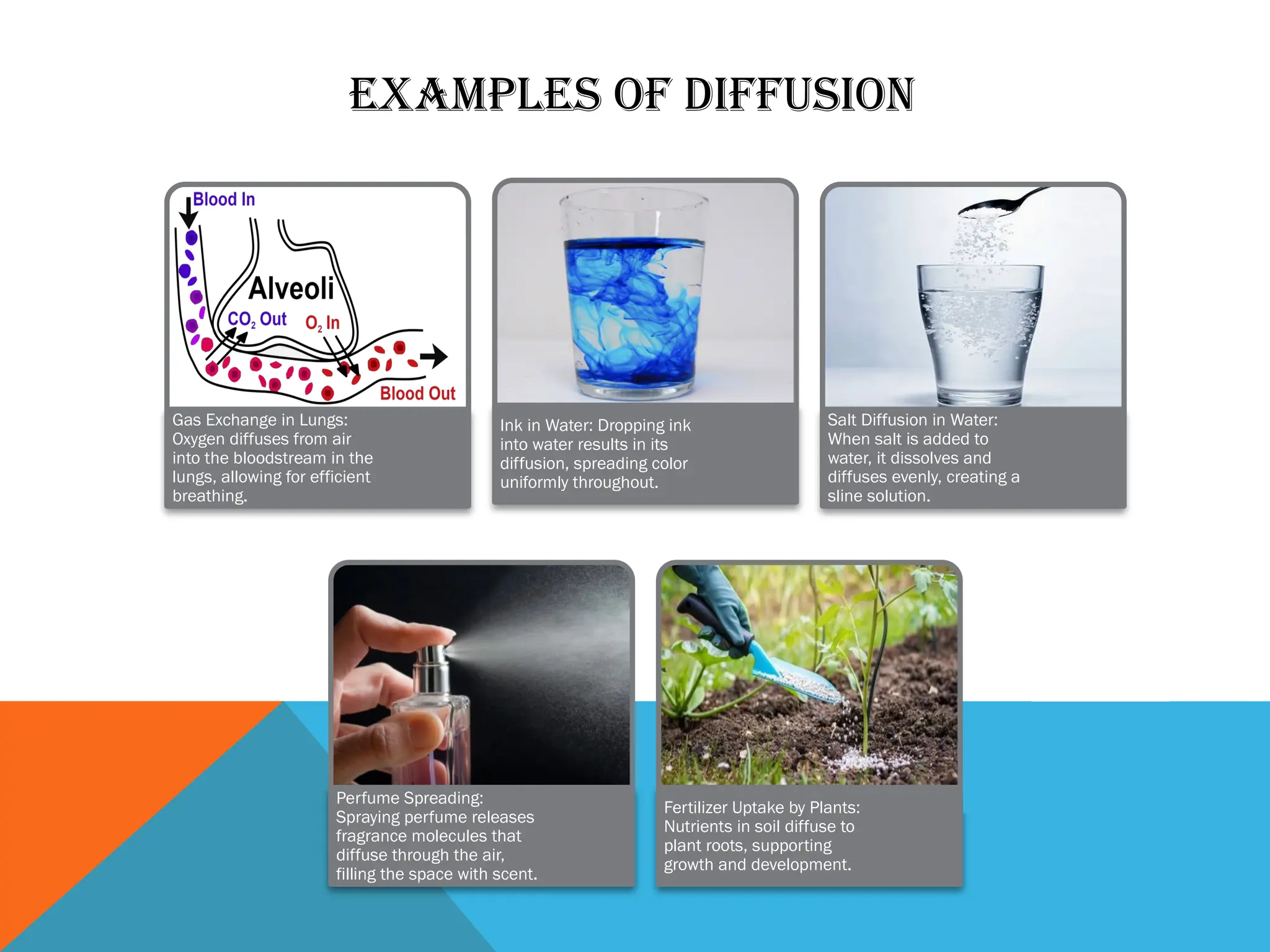 Diffusion ppt presented by omkar abcdef | PPTX
