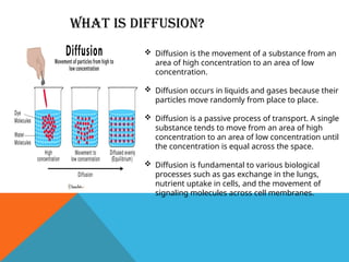 Diffusion ppt presented by omkar abcdef | PPTX