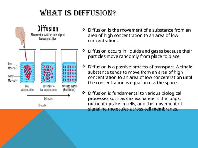 Diffusion ppt presented by omkar abcdef | PPTX | Chemistry | Science