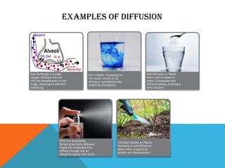 Diffusion ppt presented by omkar abcdef | PPTX