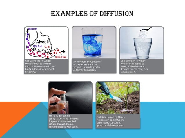 Diffusion ppt presented by omkar abcdef | PPTX | Chemistry | Science