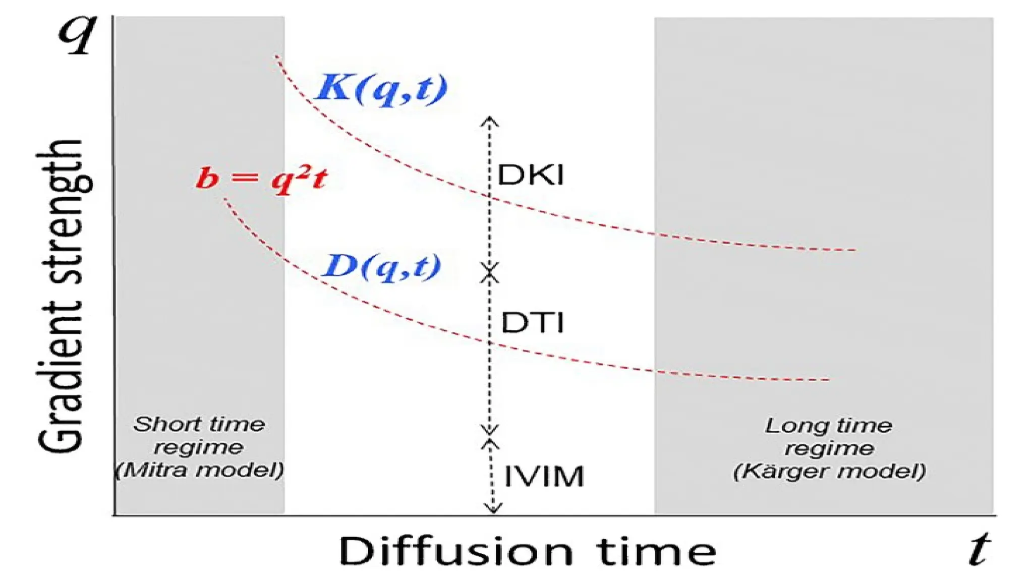 Diffusion Weighted MR from basic to advanced.pptx