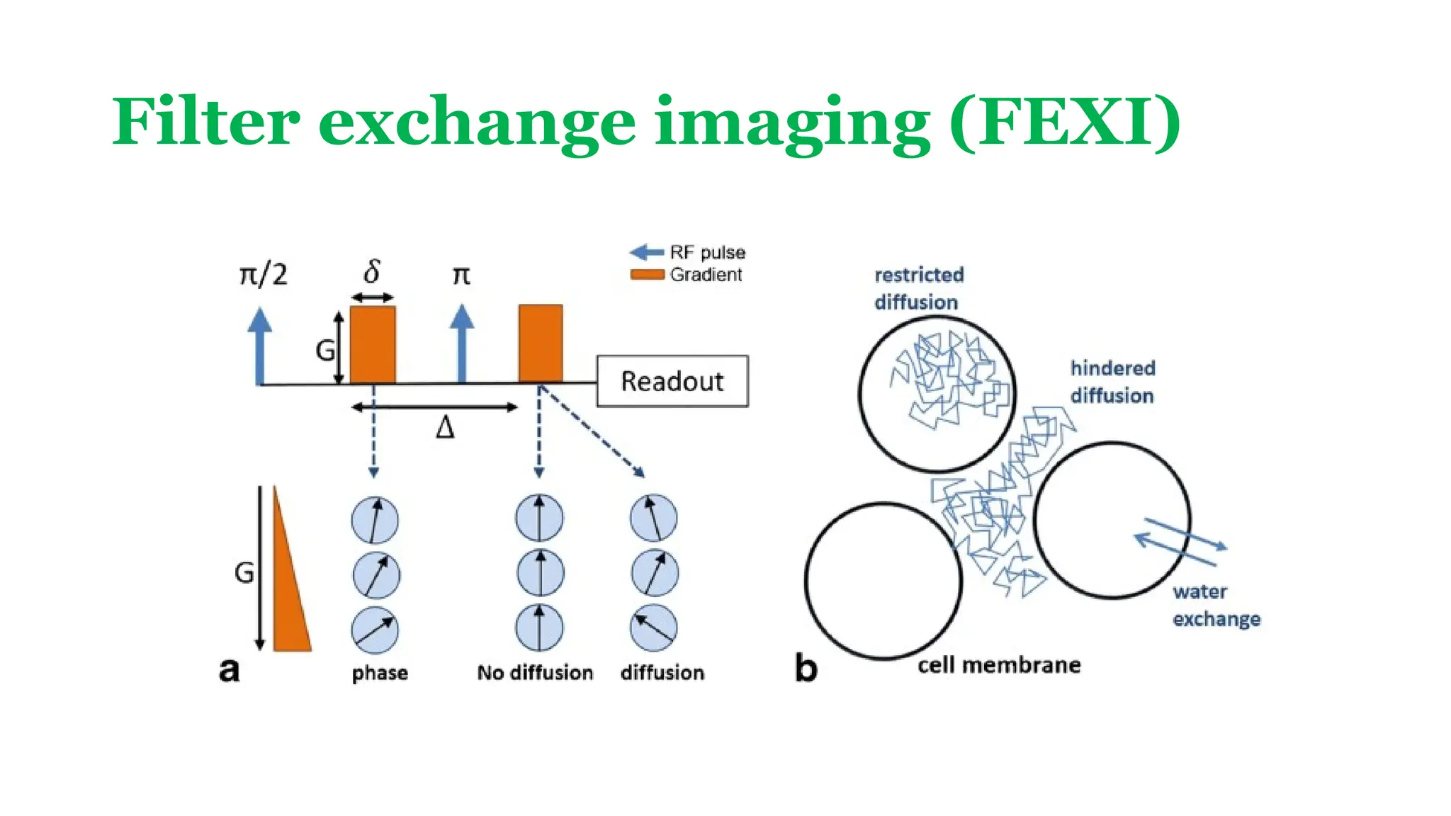 Diffusion Weighted MR from basic to advanced.pptx