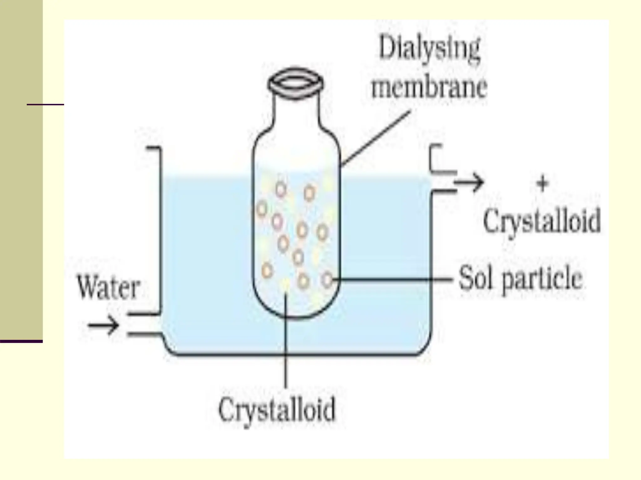 Diffusion-and-Osmosis-1.ppt