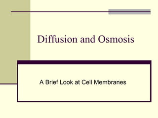 Diffusion-and-Osmosis-1.ppt