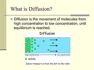 PPT Diffusion & Osmosis PowerPoint Presentation, Free, 46% OFF