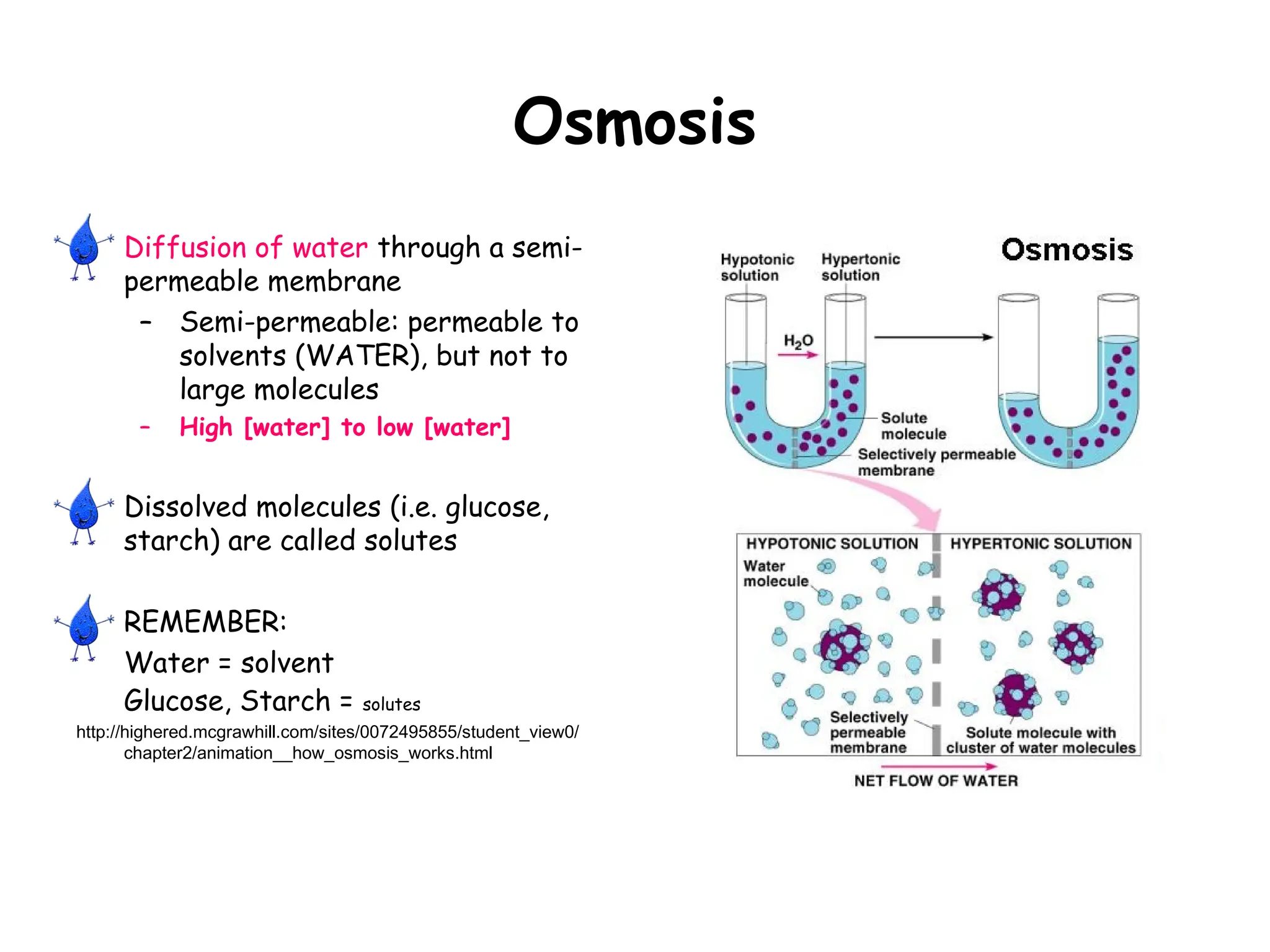 diffusion-and-osmosis a simple introduction.ppt