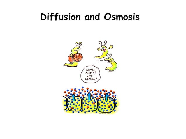 diffusion-and-osmosis a simple introduction.ppt