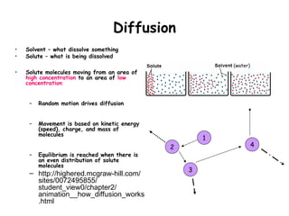 diffusion-and-osmosis a simple introduction.ppt