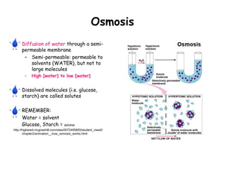 diffusion-and-osmosis a simple introduction.ppt