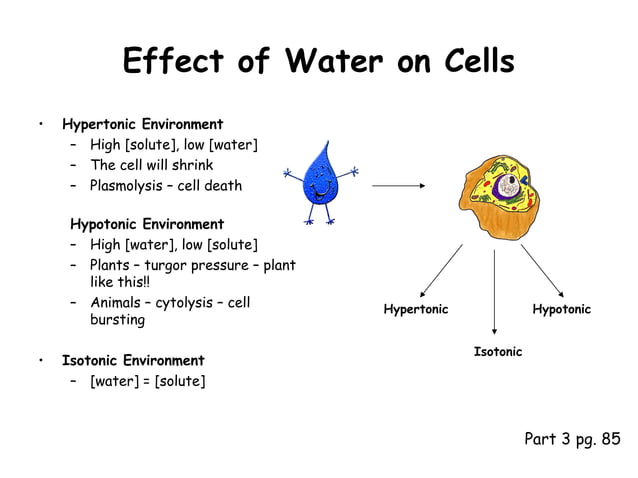 diffusion-and-osmosis a simple introduction.ppt