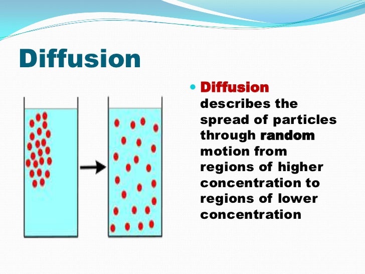 Diffusion finals, feb 29, 2012