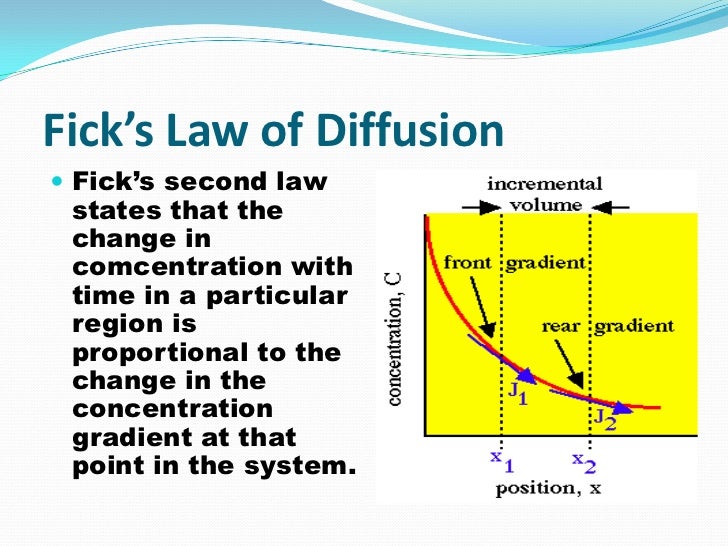 Diffusion finals, feb 29, 2012