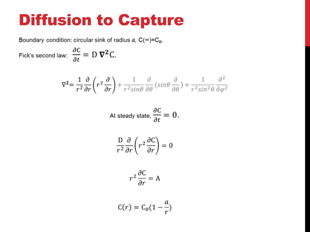 Diffusion-Limited Aggregation | PPT