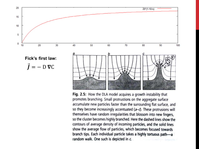 Diffusion-Limited Aggregation | PPT