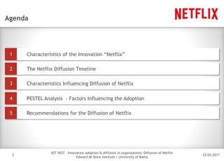 The Diffusion of Netflix | PPTX