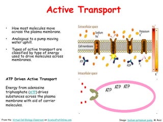 Diffusion-Osmosis-Lecture-PowerPoint-VCBCct.ppsx | Chemistry | Science