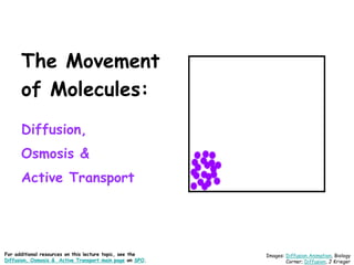 Diffusion-Osmosis-Lecture-PowerPoint-VCBCct.ppsx | Chemistry | Science