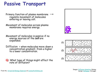 Diffusion-Osmosis-Lecture-PowerPoint-VCBCct.ppsx | Chemistry | Science