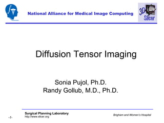 Diffusion Tensor Imaging Analysis-3749 | PPT | Digital Audio | Computer Software and Applications