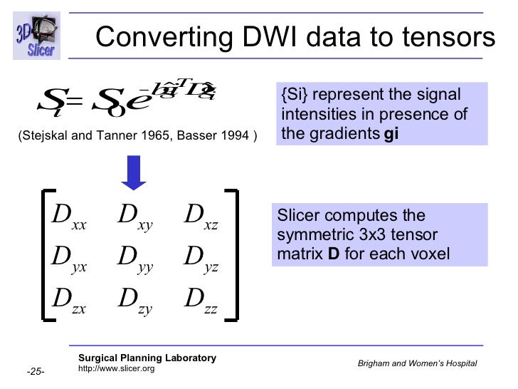 Diffusion Tensor Imaging Analysis-3749