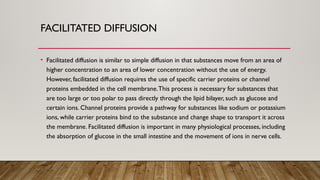 Comprehensive Overview of Diffusion, Osmosis, and Active Transport in ...