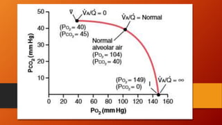 Diffusion across respiratory membrane ventilation perfusion ratio and ...