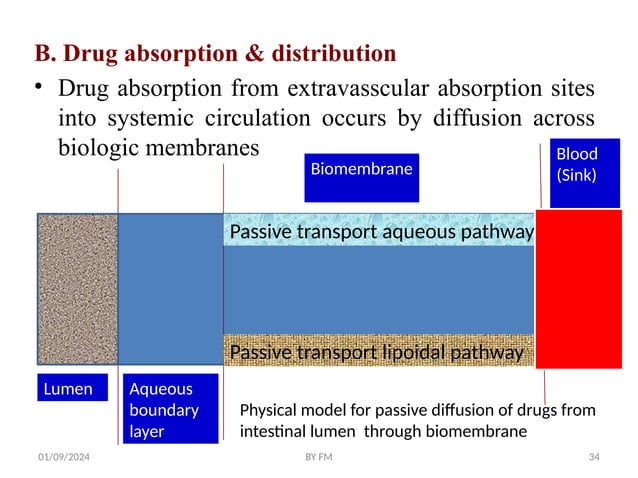 Diffusion and Dissolution (1).pptx....... | PPT