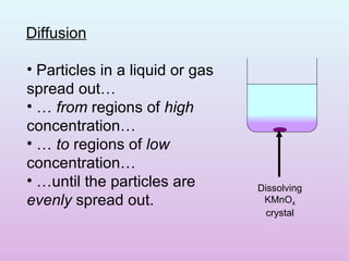 Diffusion And Osmosis | PPT | Chemistry | Science