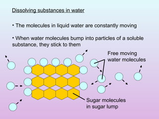 Diffusion And Osmosis | PPT | Chemistry | Science