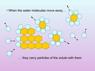 Diffusion And Osmosis | PPT