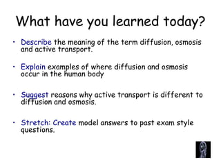 Diffusion and osmosis | PPT