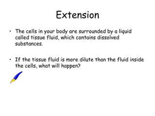 Diffusion and osmosis | PPT