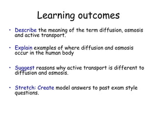 Diffusion and osmosis | PPT