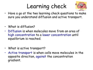 Diffusion and osmosis | PPT
