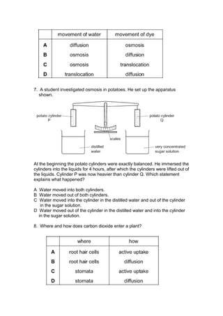 Diffusion And Osmosis Worksheet