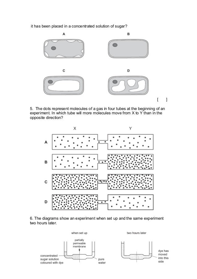Diffusion and osmosis