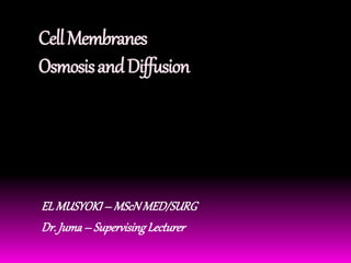 Diffusion and osmosis | PPT