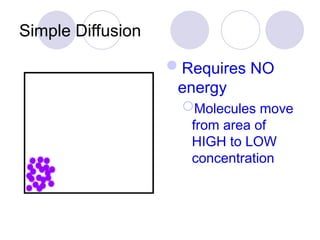 Diffusion and Osmosis PowerPoint Presentation | PPT