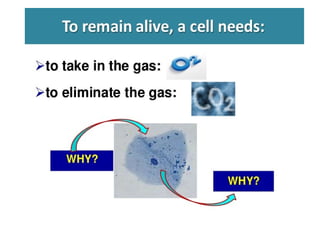 Diffusion and Osmosis PowerPoint Presentation | PPT | Chemistry | Science