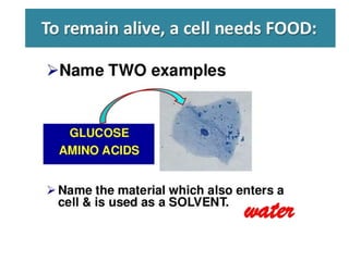 Diffusion and Osmosis PowerPoint Presentation | PPT | Chemistry | Science