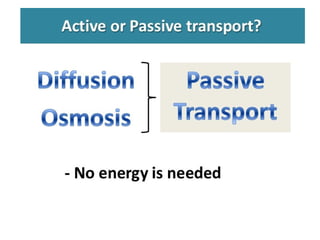 Diffusion and Osmosis PowerPoint Presentation | PPT | Chemistry | Science