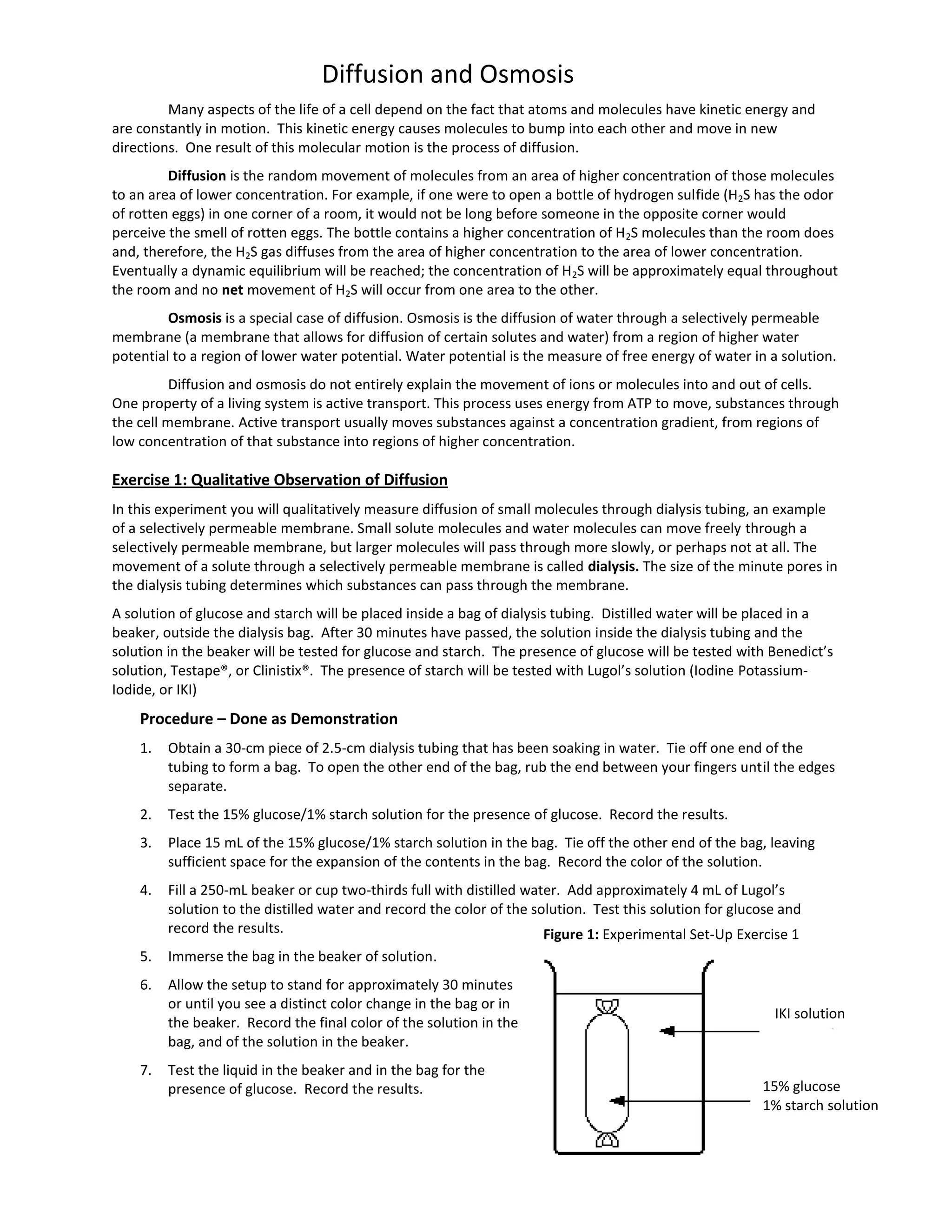 Diffusion and osmosis student handout | DOCX