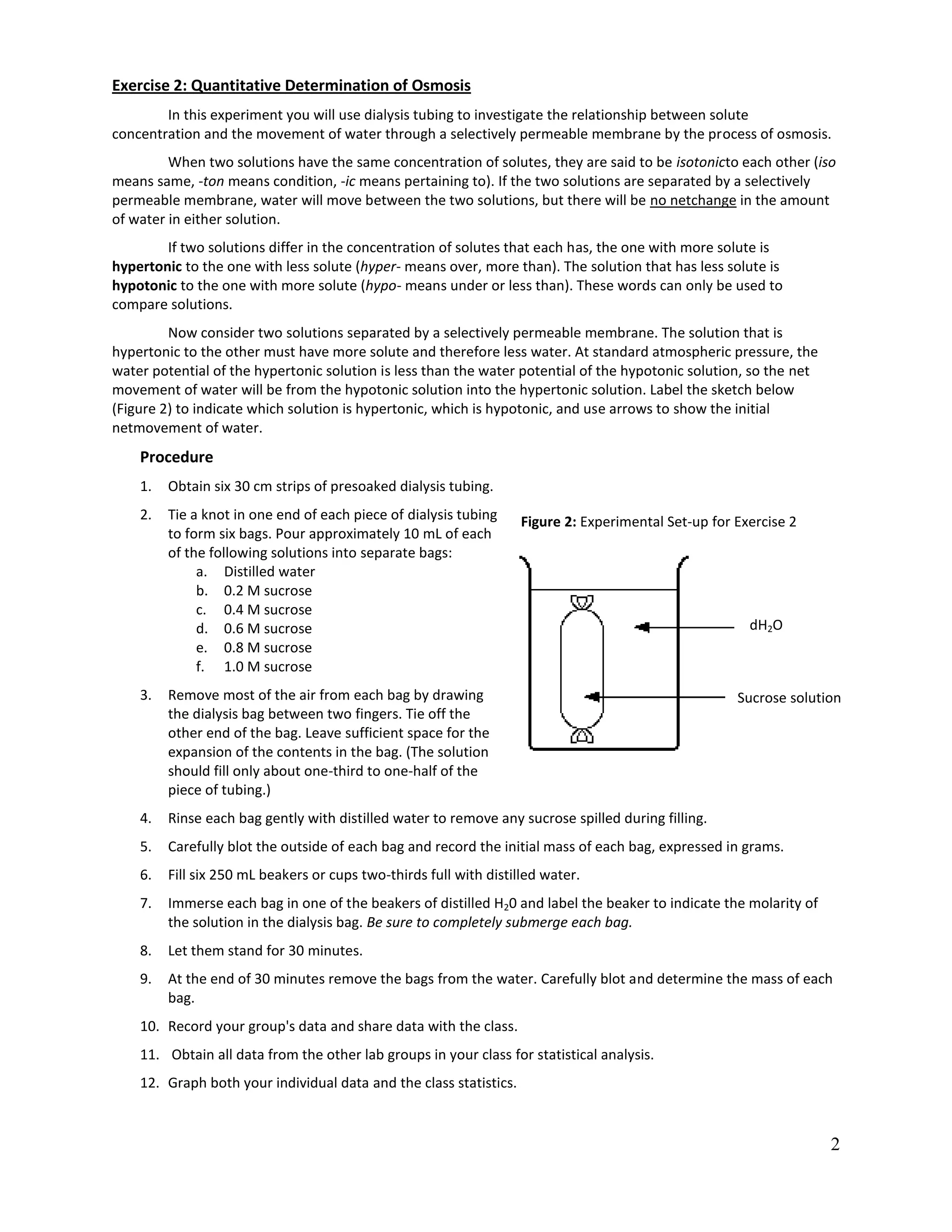 Diffusion and osmosis student handout | DOCX