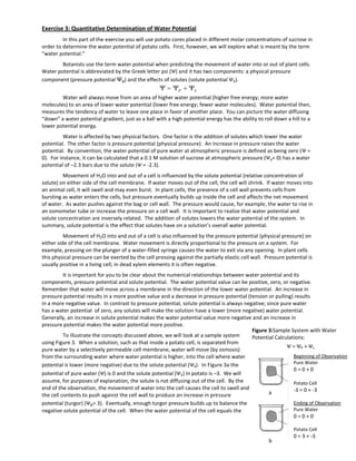 Diffusion and osmosis student handout | DOCX