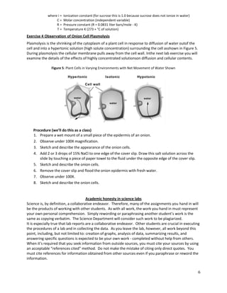 Diffusion and osmosis student handout | DOCX