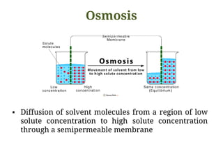 Diffusion and Osmosis_20_2_23.pdf
