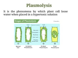 Diffusion and Osmosis_20_2_23.pdf
