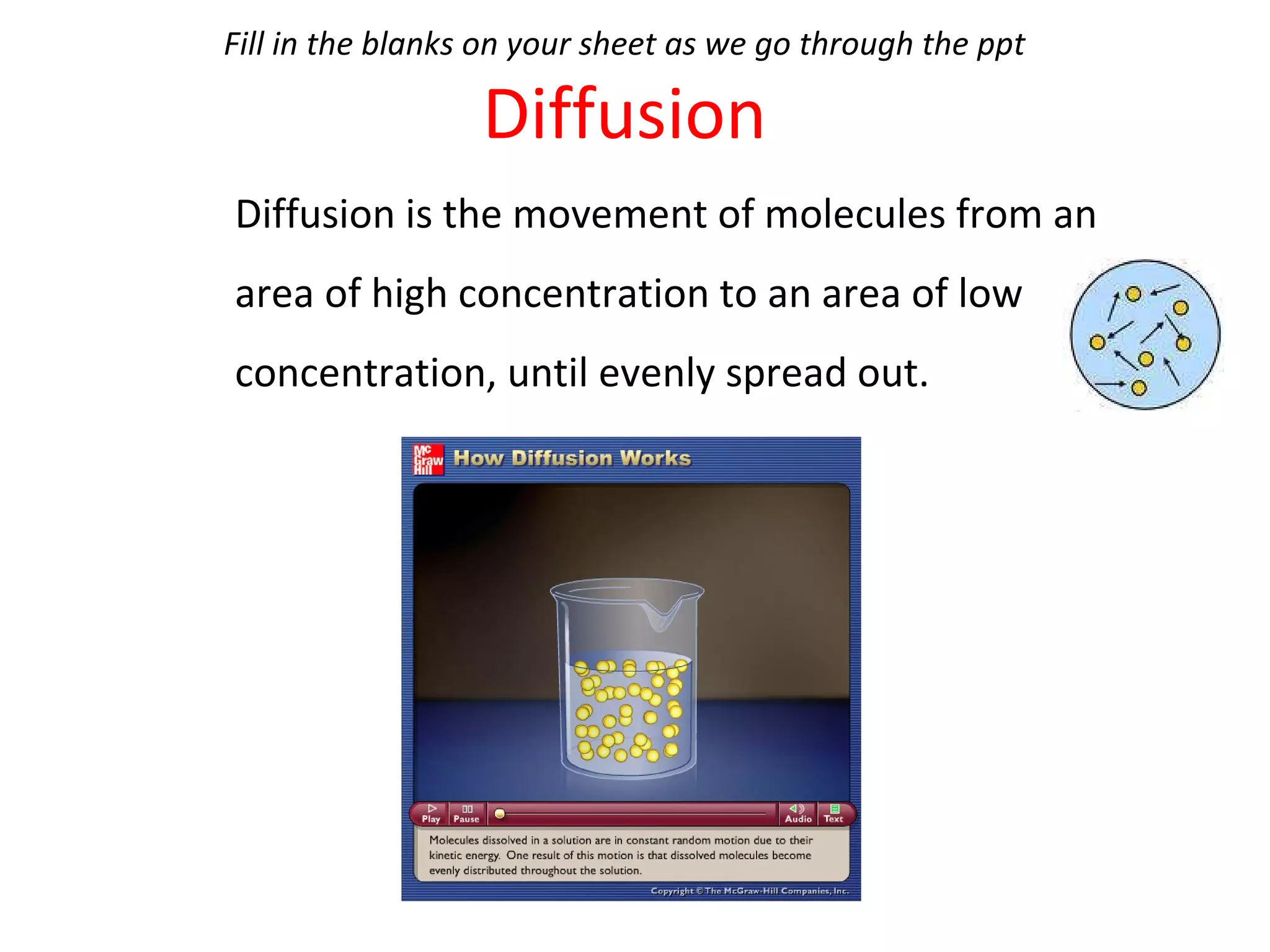 Diffusion and osmosis homework powerpoint | PPT | Chemistry | Science